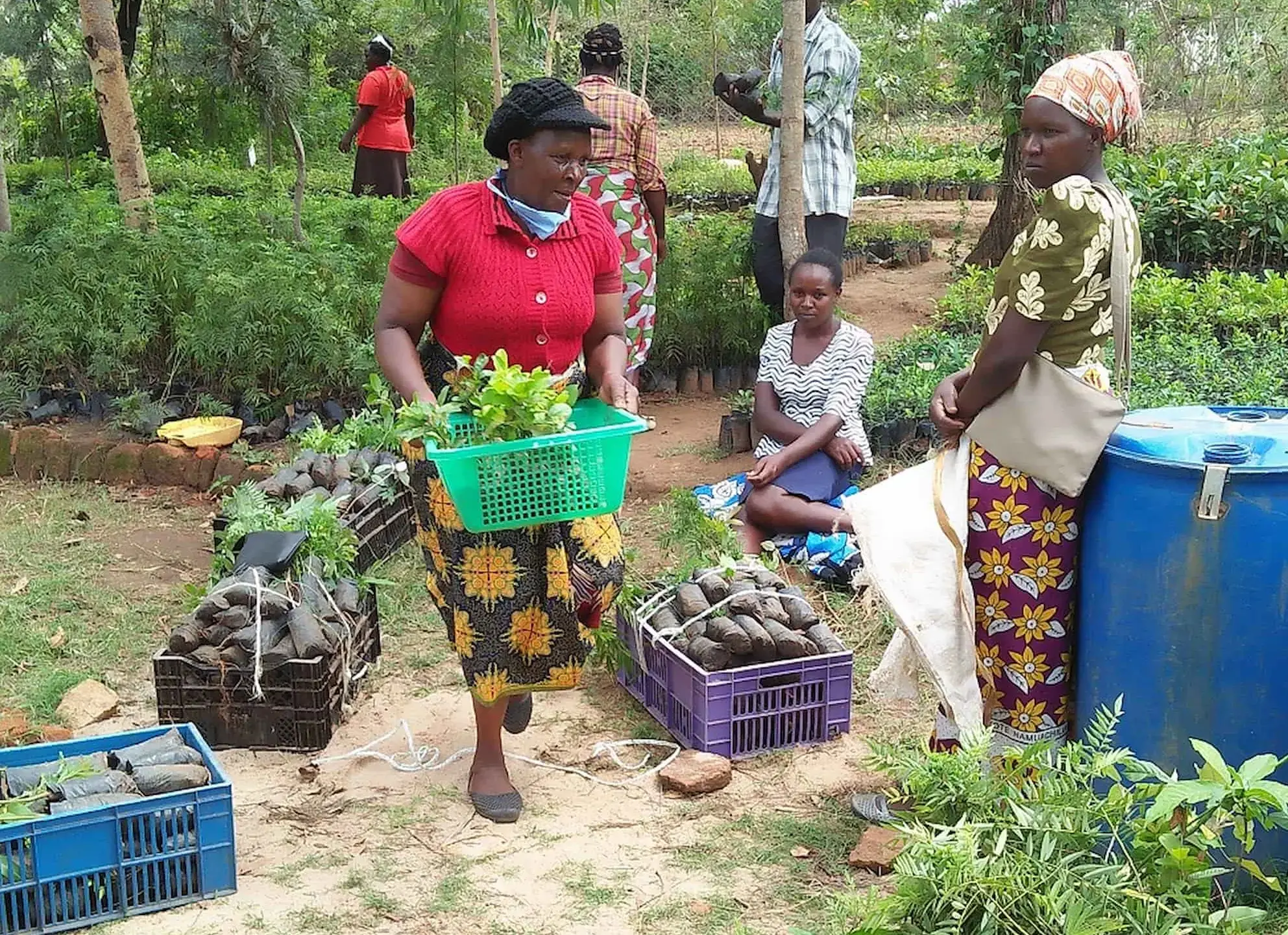 Promoting Harmony Between People and Nature in Kenya | AFR100